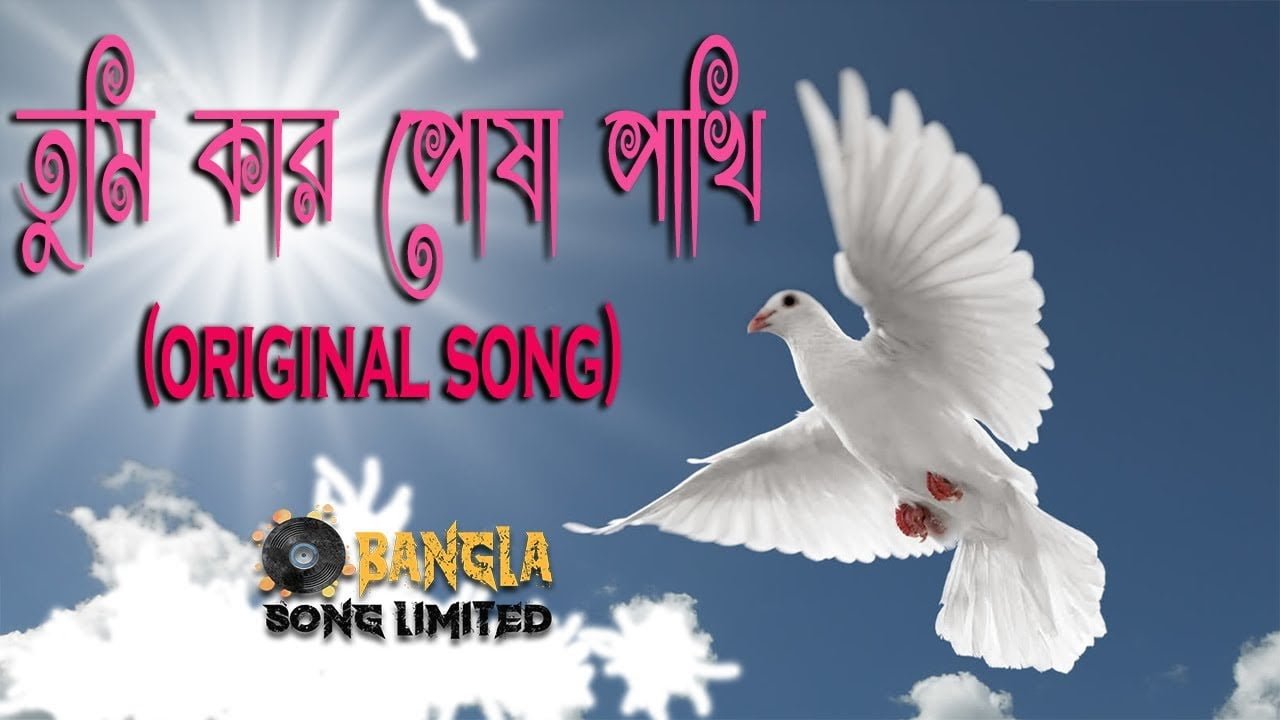Tumi Kar posha Pakhi Guitar Chords | তুমি কার পোষা পাখি - GuitarBazz